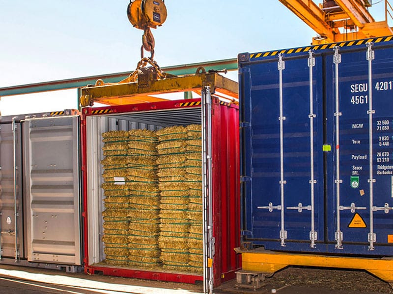 Qube Ultima Intermodal Terminal sees official opening | News